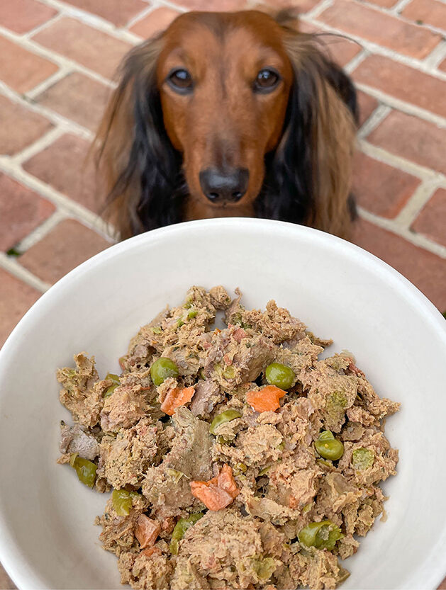 Gently Cooked Pet Foods