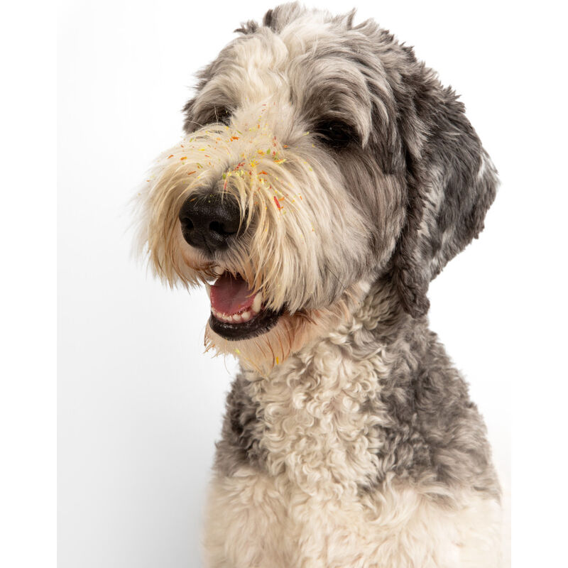 Mud Bay | Buy Lord Jameson Superfood Sprinkles Dog Food Topper ...